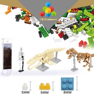 Hand Anatomy Model for Science Learning - Switched on kids