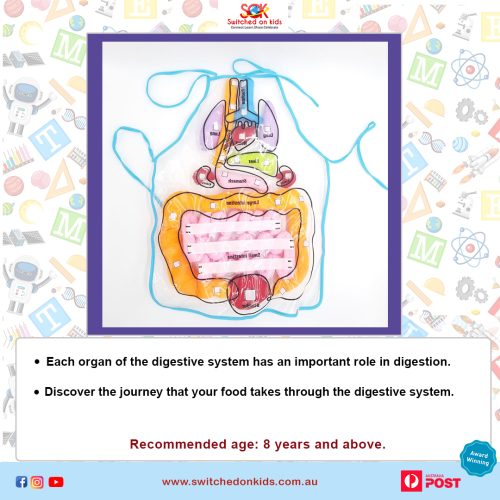 Human Digestive System Science Kit for Kids - Switched on kids