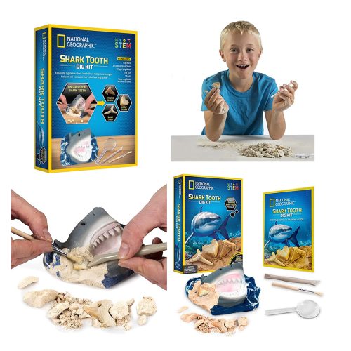 National Geographic Shark Tooth Dig Kit for Kids - Switched on kids