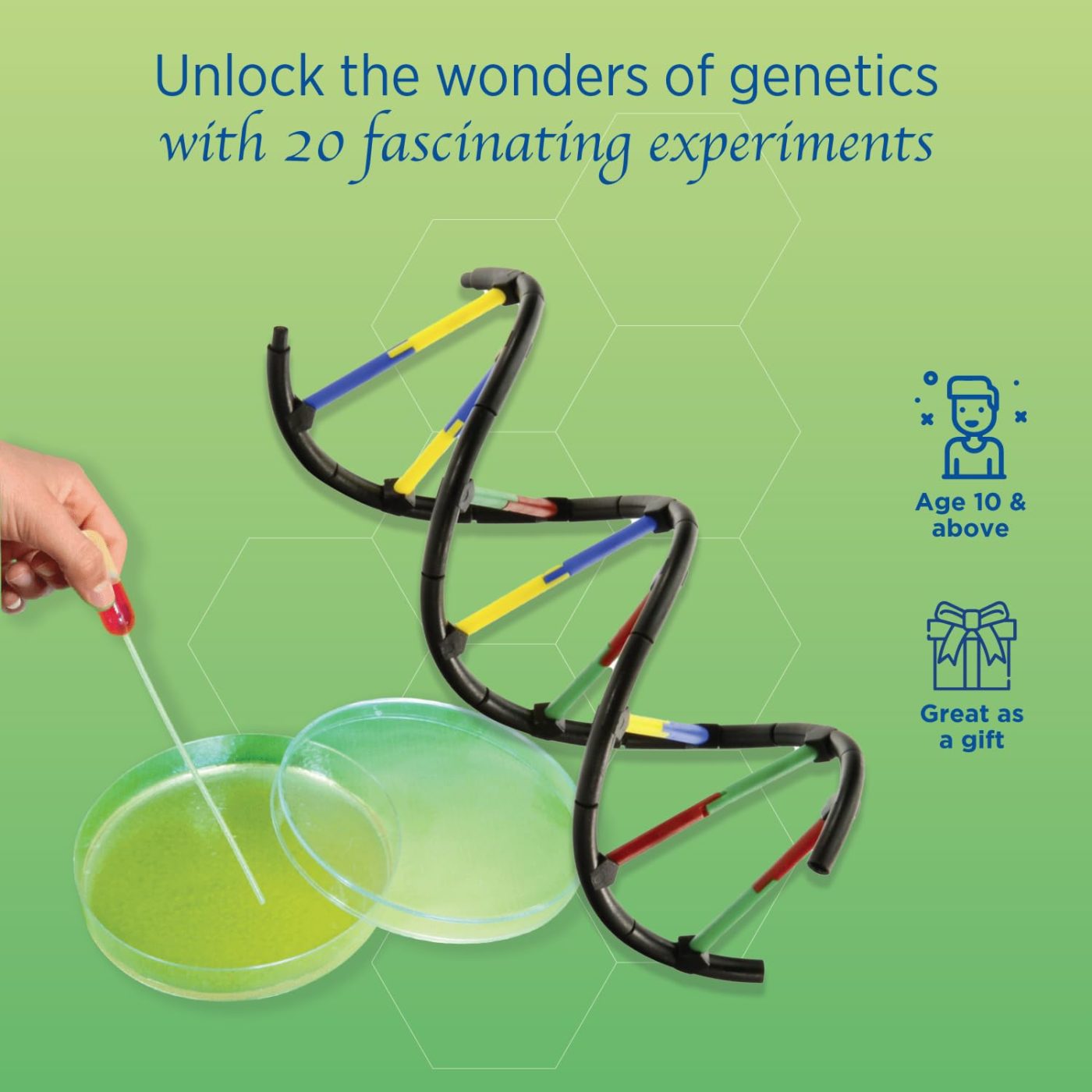 Thames and Kosmos - Genetics: Explore DNA Science Kit - Switched on kids
